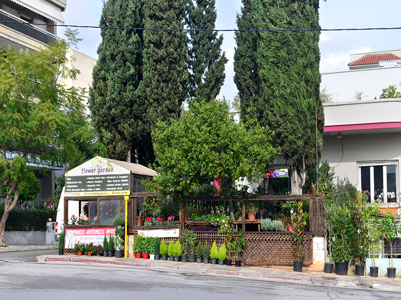 CleverPoint | Funship Portal